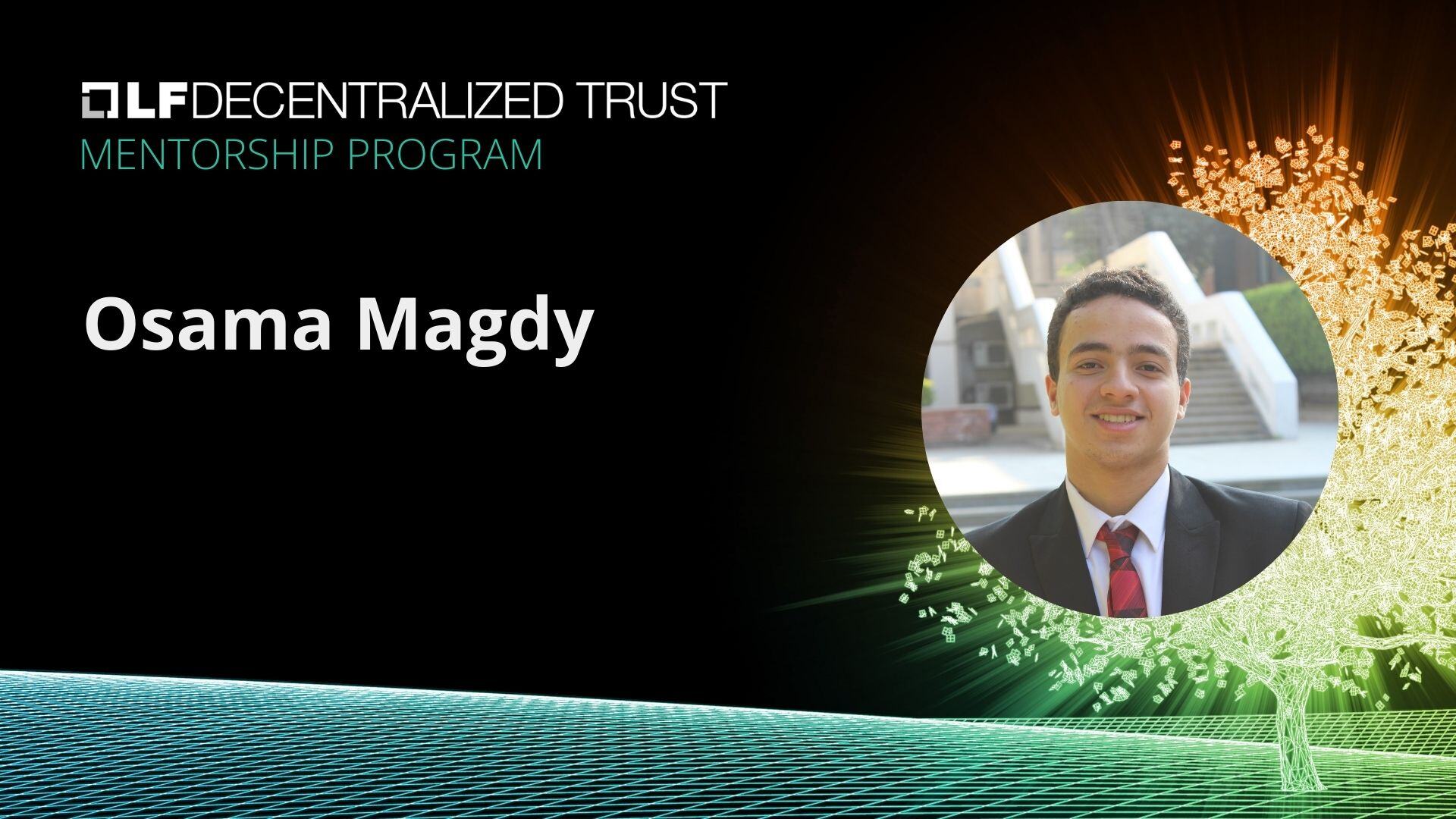 LF Decentralized Trust Mentorship Spotlight: CC-Tools Support for Fabric Private Chaincode